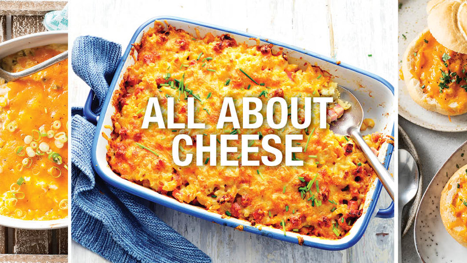 All About Cheese | Stop and Shop