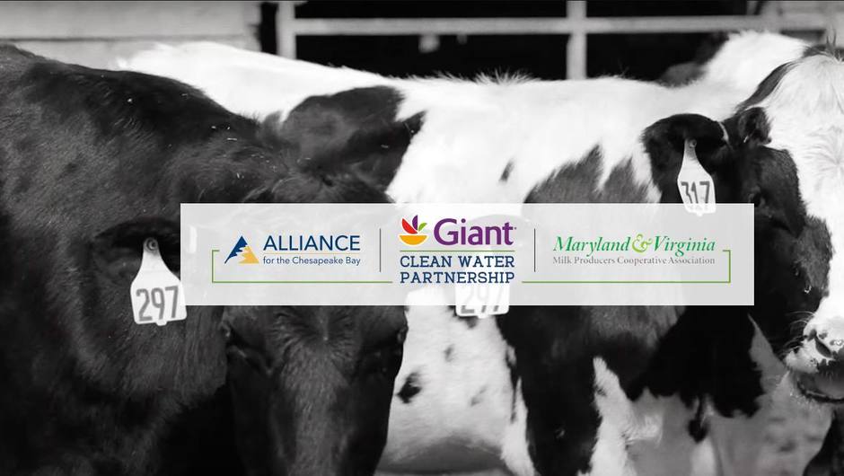 Why Buying Giant Milk Makes a Difference. | Giant Food Store