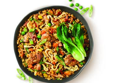 Asian | Continental AU